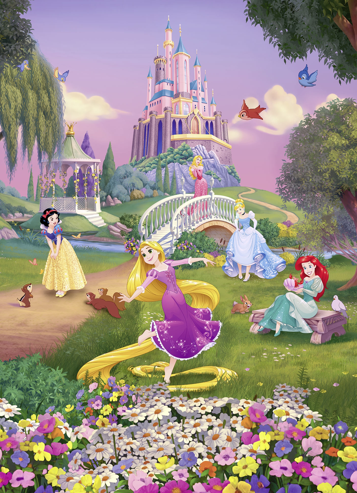 Photomural "Princess Sunset" from Disney | photomural.com