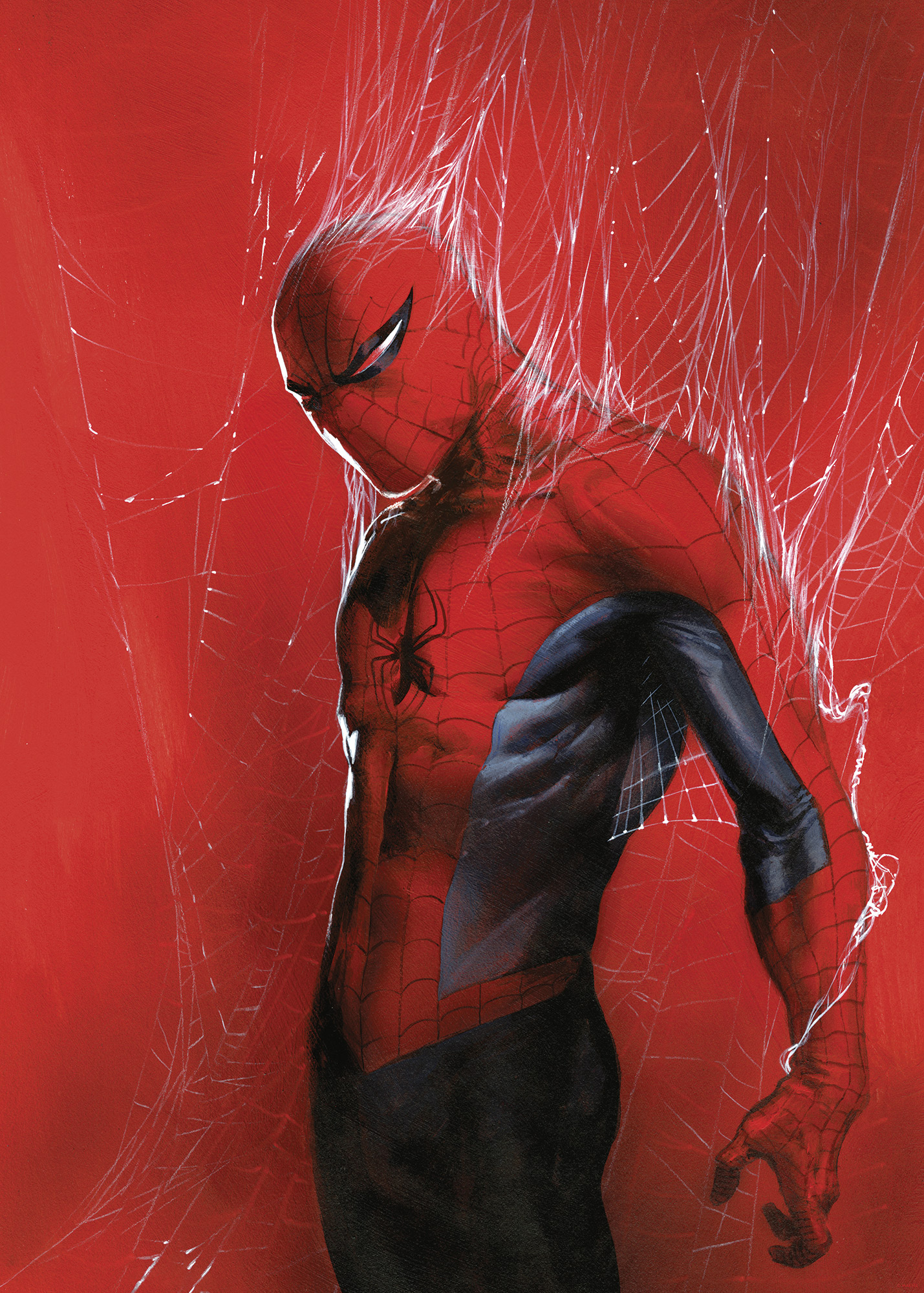 Marvel Spider-Man Through the Spider Web - Spider-Man Wall Art ...