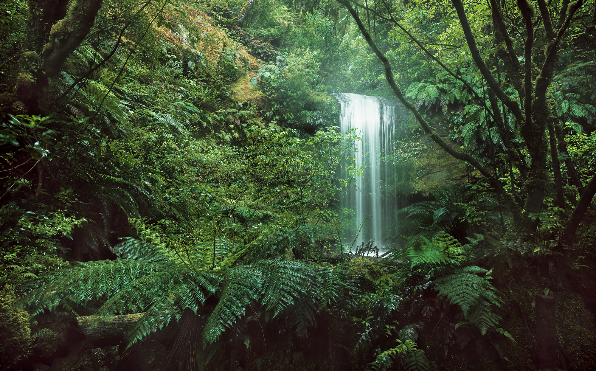 Secret Veil - Lush Waterfall Mural | Photomural.com