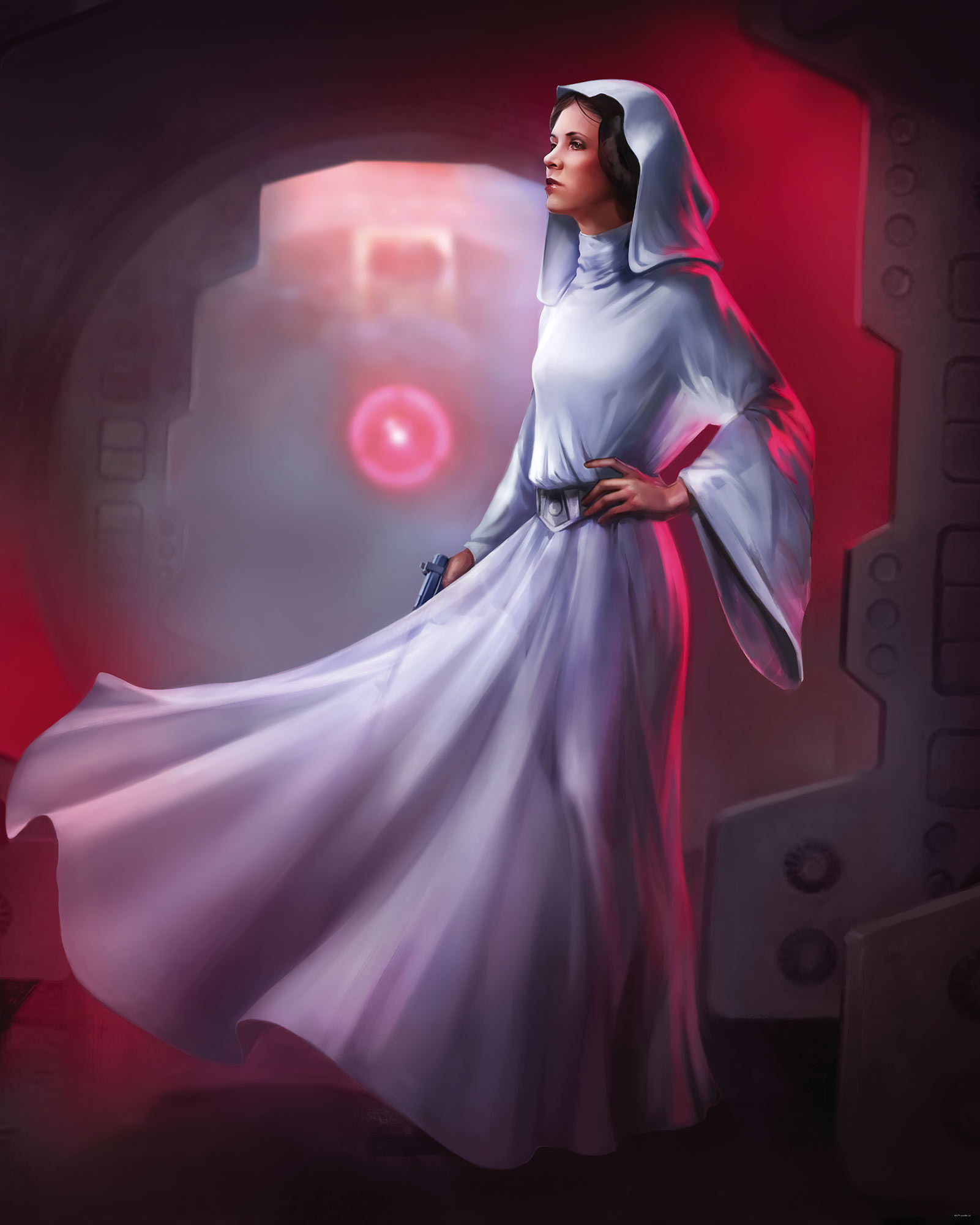 Star Wars Classic Leia - Leia Wall Art | Photomural.com
