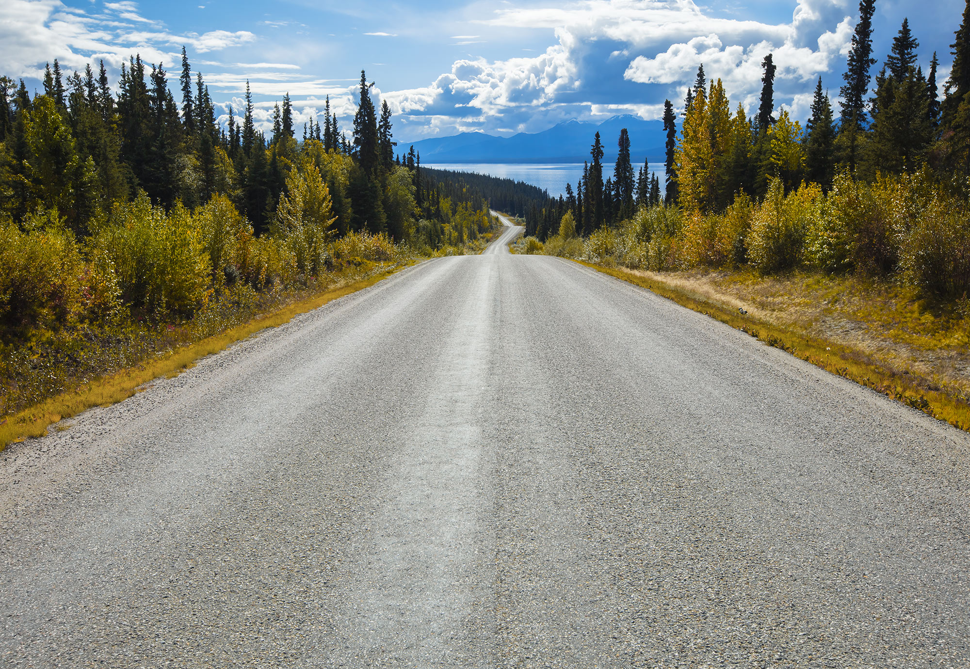 Photomural "Atlin Road" from Komar at photomural.com | National Geographic