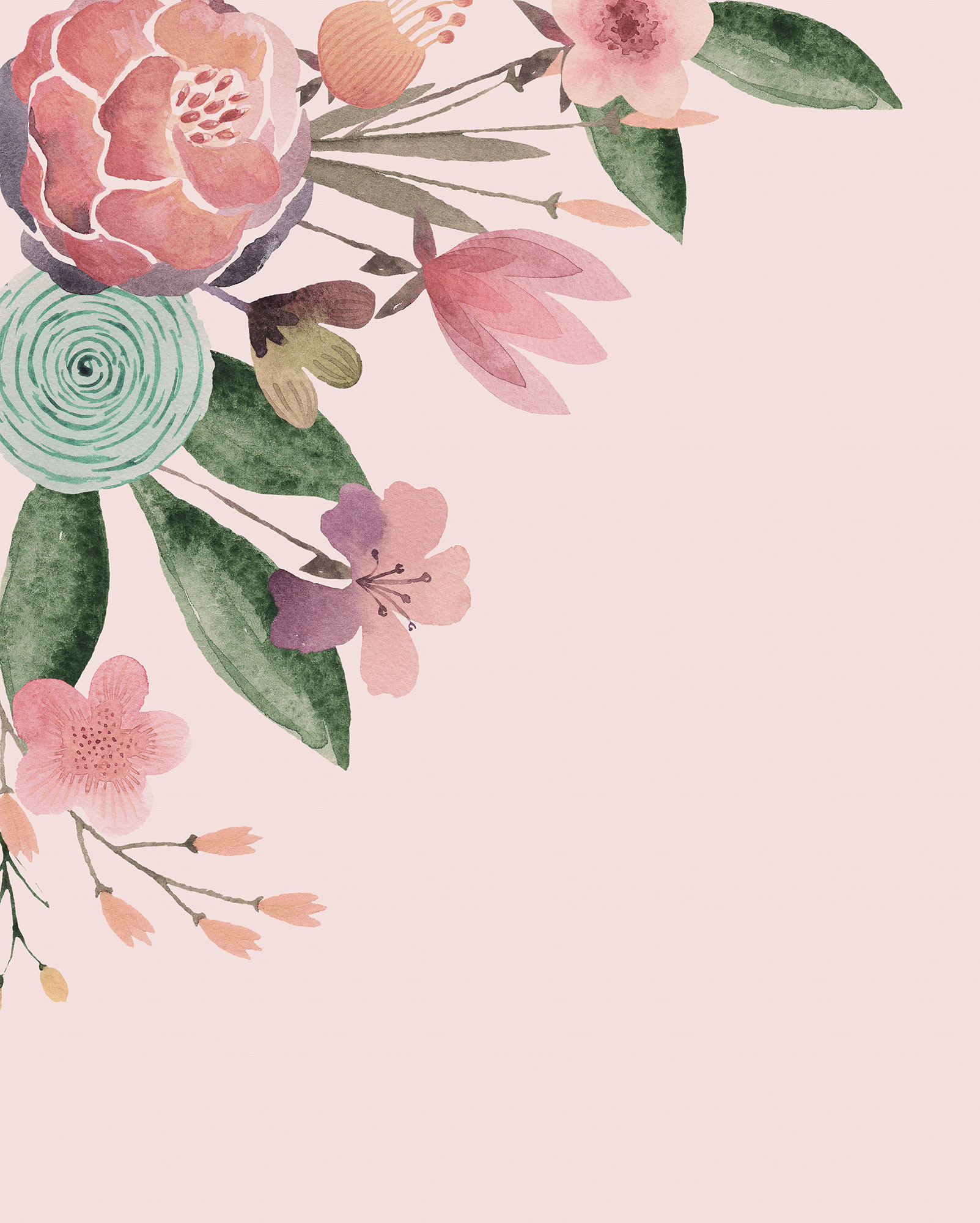 Fleur Bisou - Blush Pink Flower Wallpaper | Photomural.com