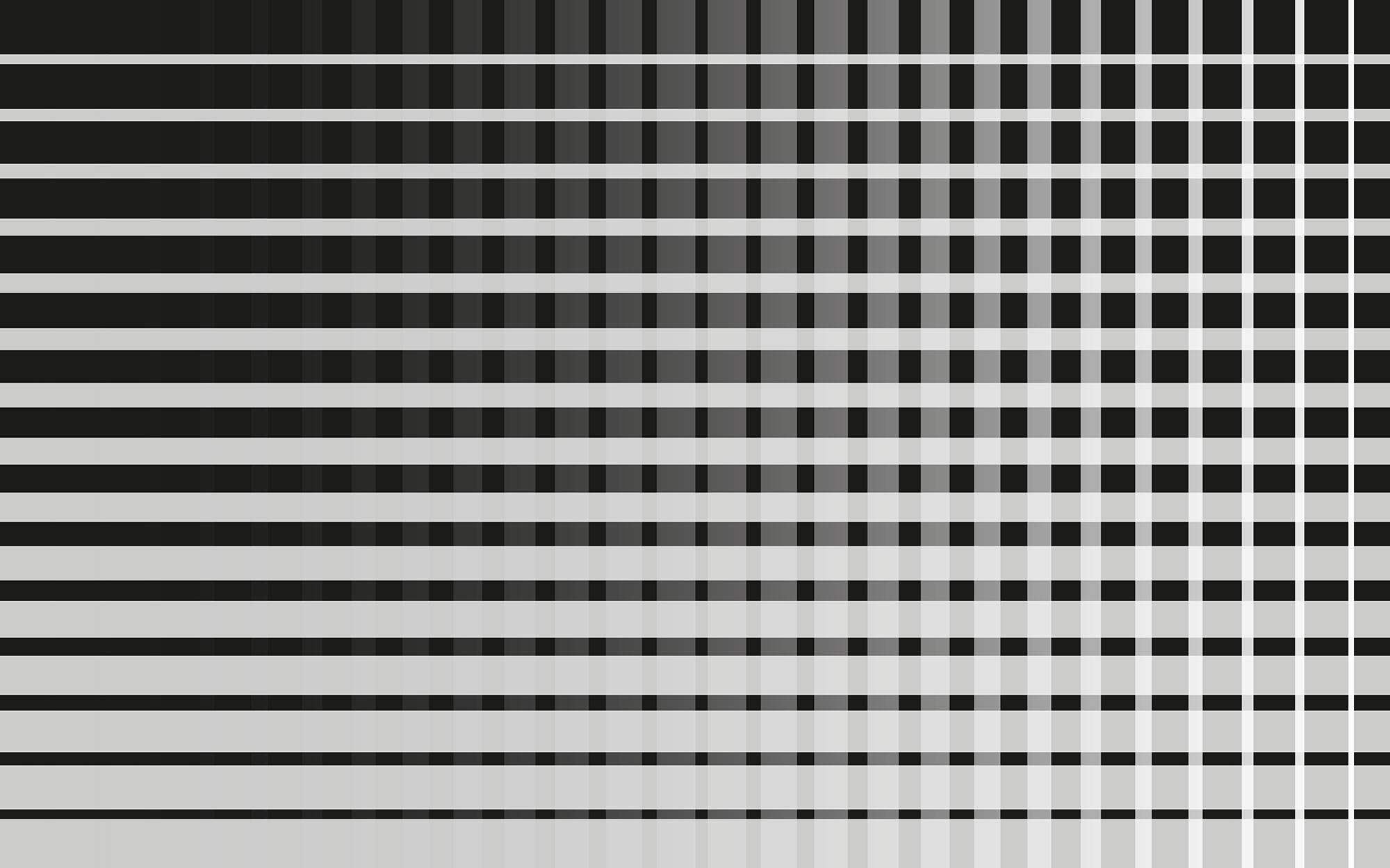 Digitaldrucktapete auf Vlies Griddy greyblack-grey (RH-1130) von Komar