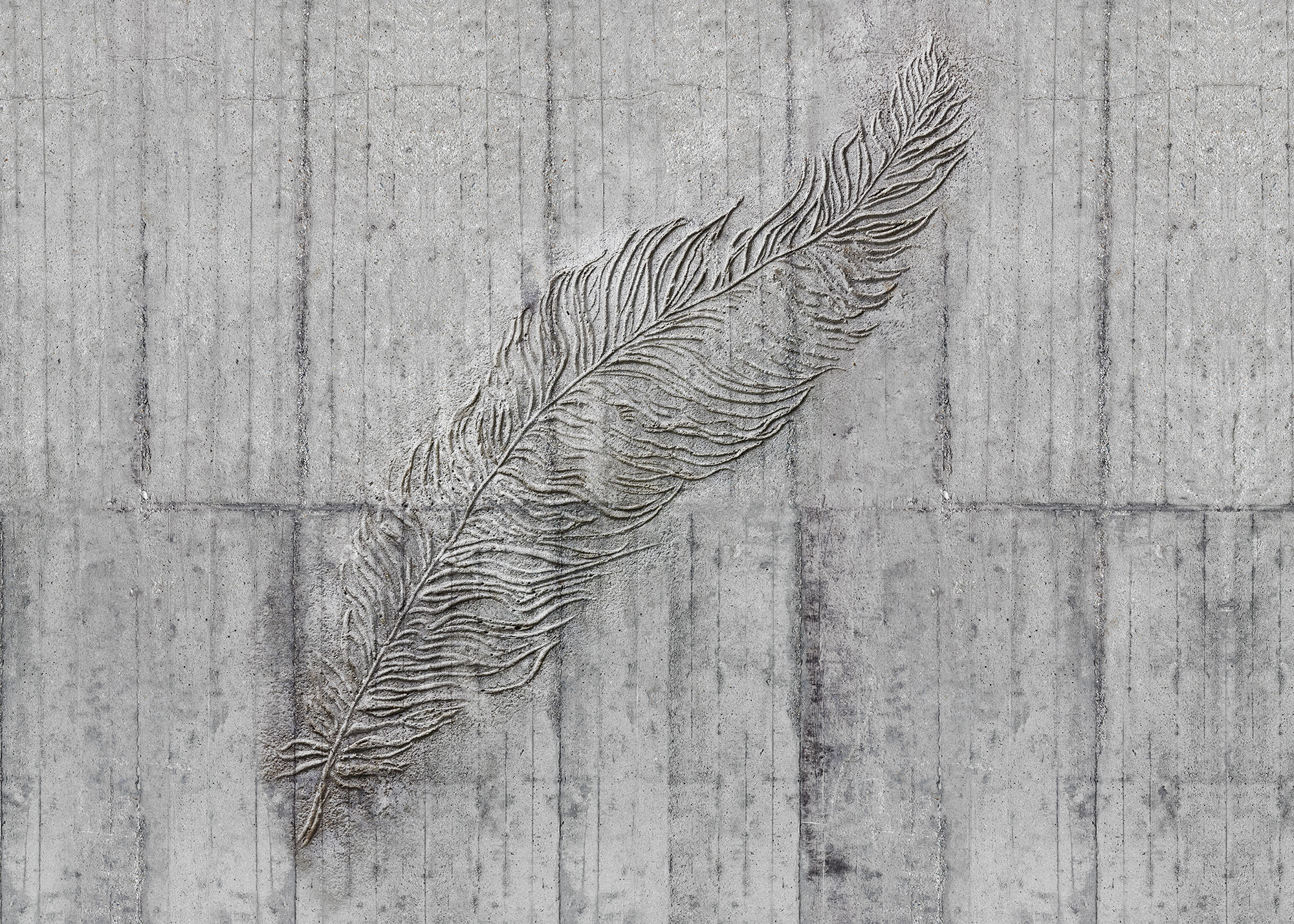 Concrete Feather